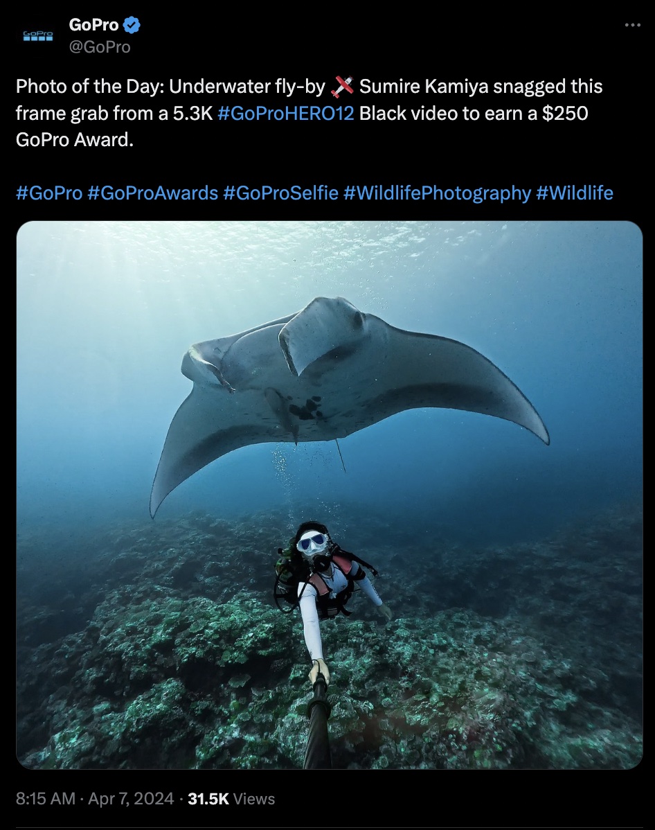 How Social Media Affects International Business | ICUC